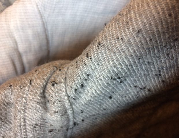 INSIDE CREARE GROUP’S STAND-OUT FALL ‘17 COLLECTION